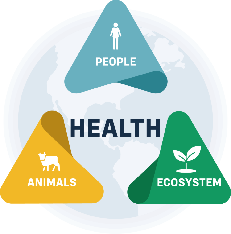 LIVET - livestock farming and one health approach | livestock farming ...